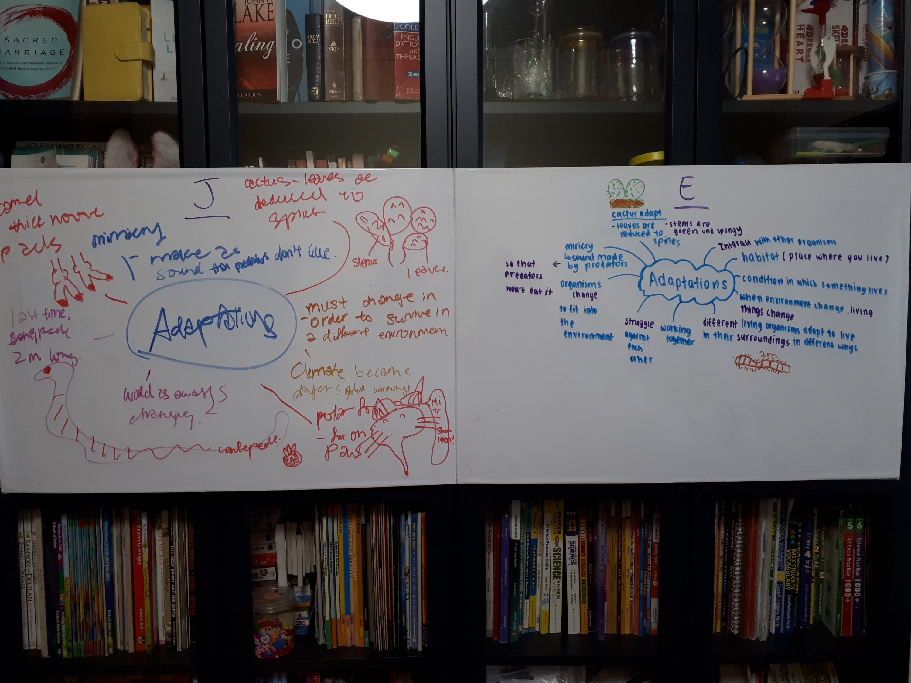 2018 – P6 Science (adaptations) – Sowing Seedz