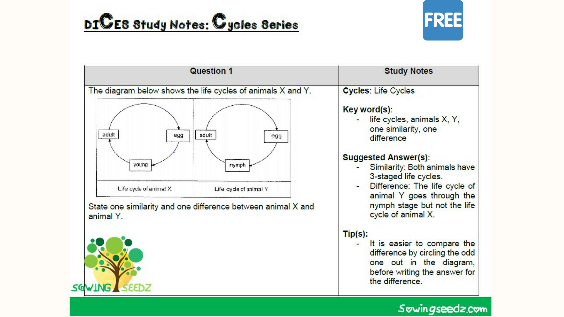 Free Teaching Resource: Q&A Study Notes – Cycles (PSLE Version ...
