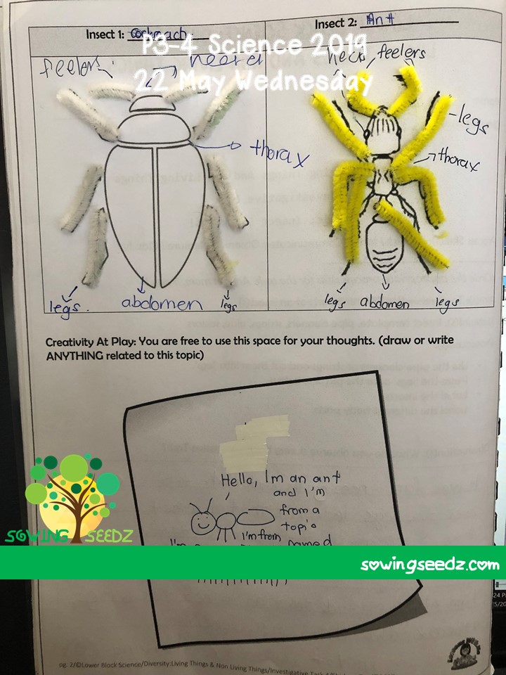 Science Topics – Diversity – Sowing Seedz