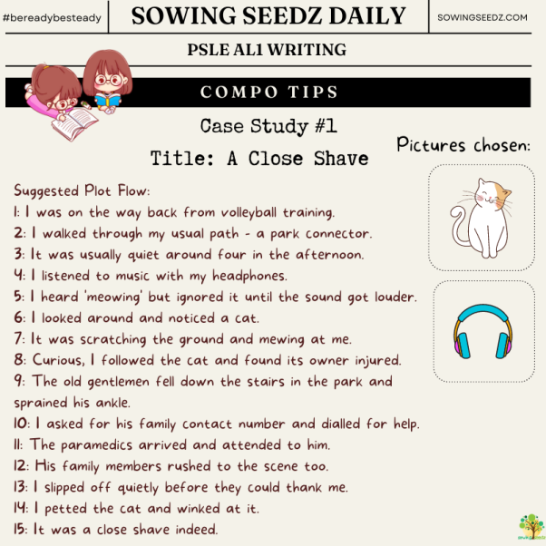 PSLE AL1 Compo Writing Tips – Sowing Seedz